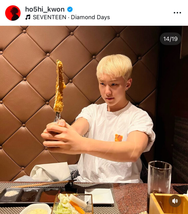 [SEVENTEENホシ][大阪]串揚げとワインOhana 北新地店 - oshito