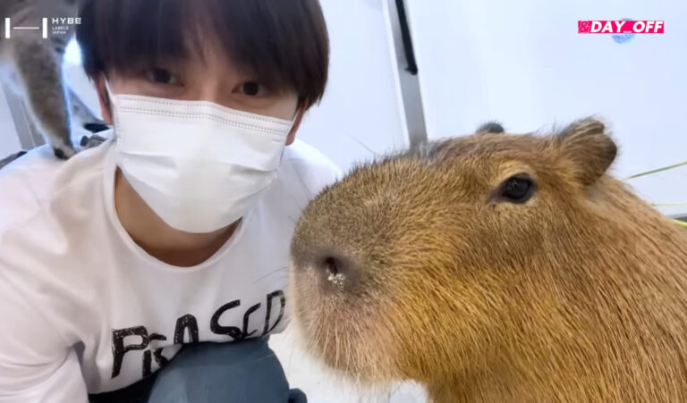 [&TEAM フウマ][神奈川]アニタッチみなとみらい - oshito