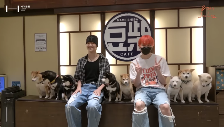 [&TEAMウィジュ、ニコラス][東京]浅草の豆柴カフェ - oshito