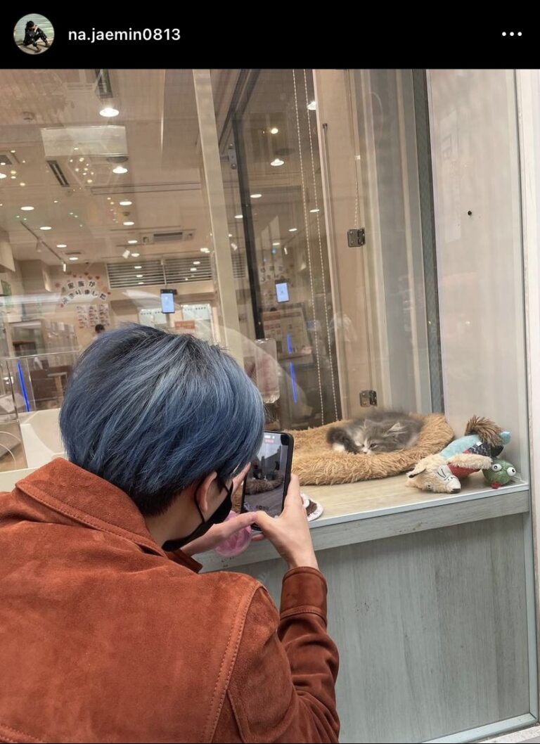 [NCT DREAMジェミン][福岡]P ‘S-first for cats 福岡天神店 - oshito